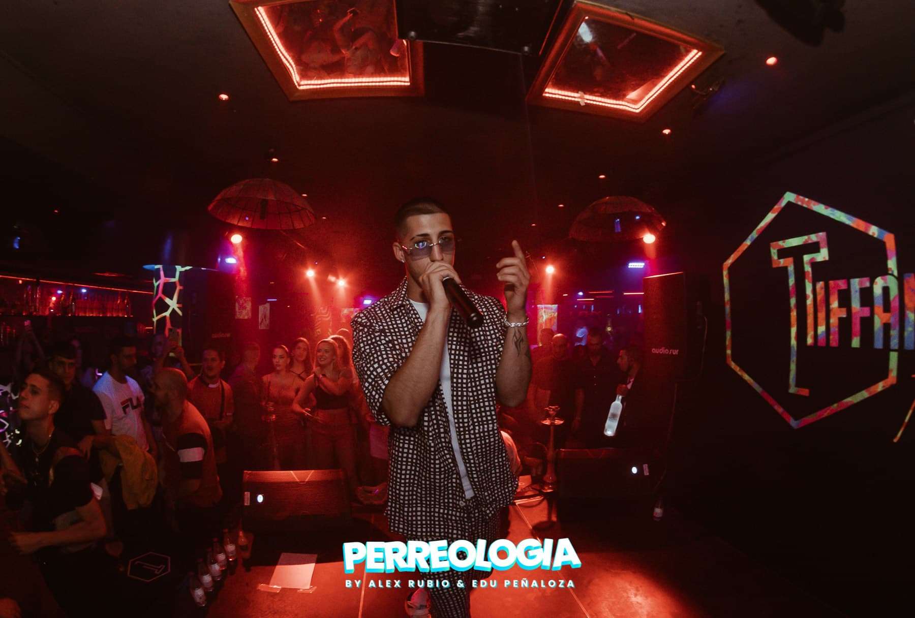 Galería - Perreologia