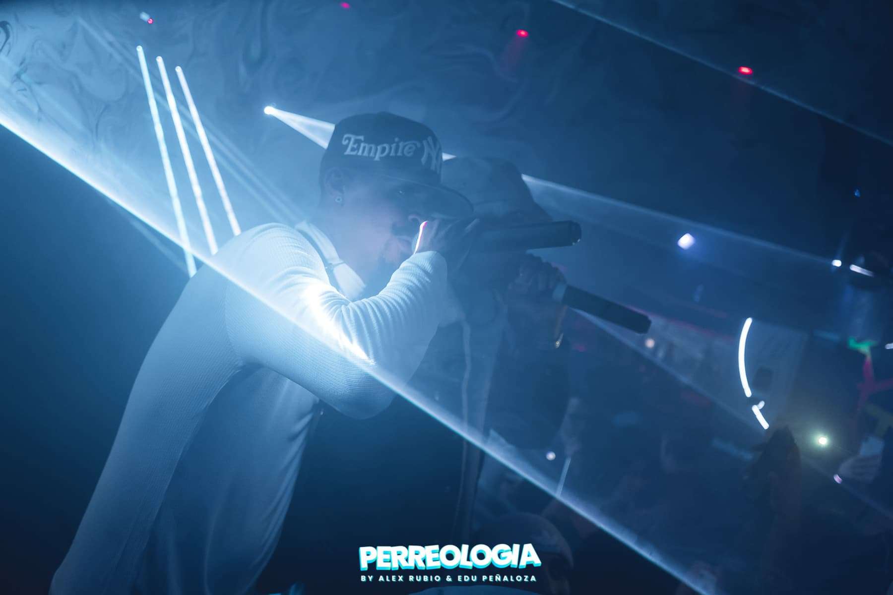 Galería - Perreologia